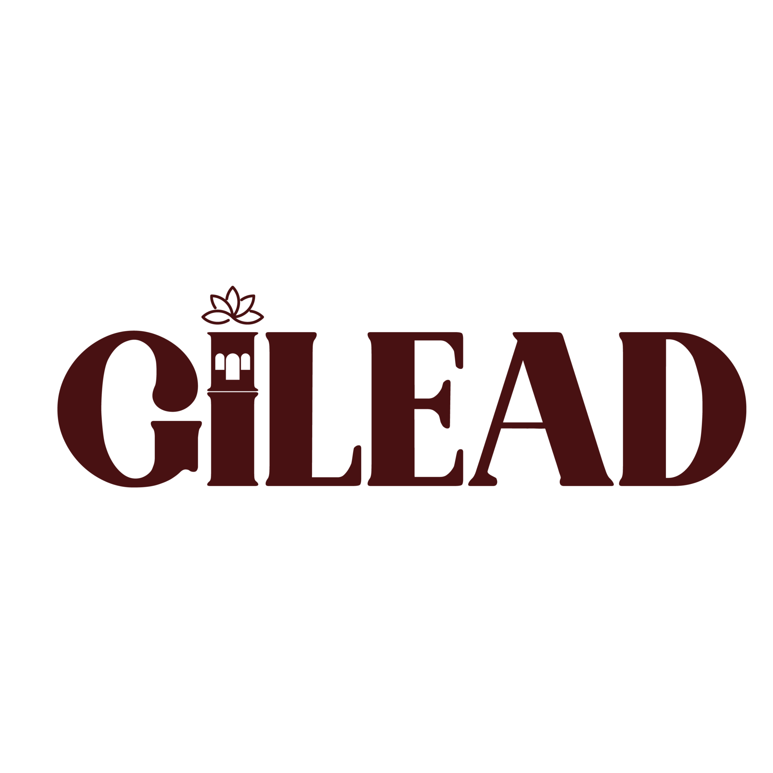 Contact - Gilead Cliff Lodge